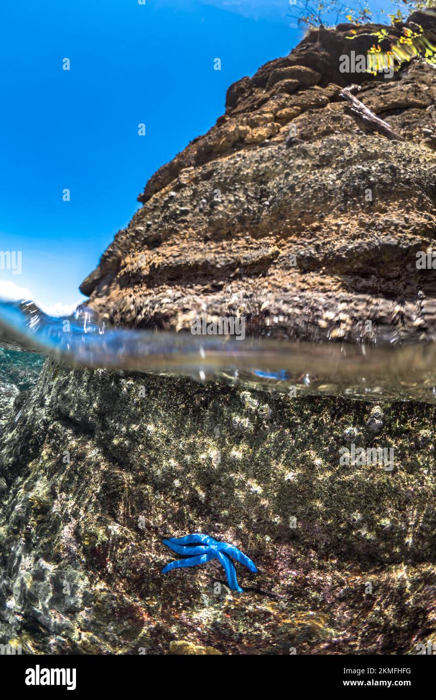 Above and below the ocean hi-res stock photography and images - Alamy