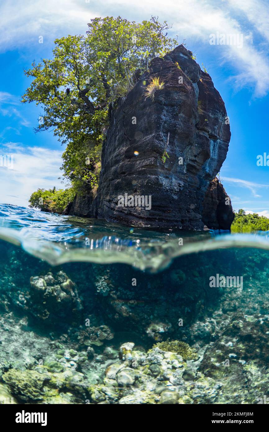Above and below water view of the pacific Ocean and Tropical island ...