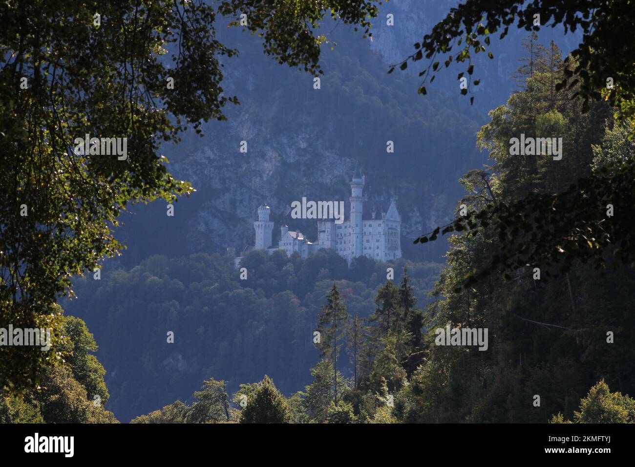 An aerial view of Neuschwanstein castle surrounded by dense trees Stock ...