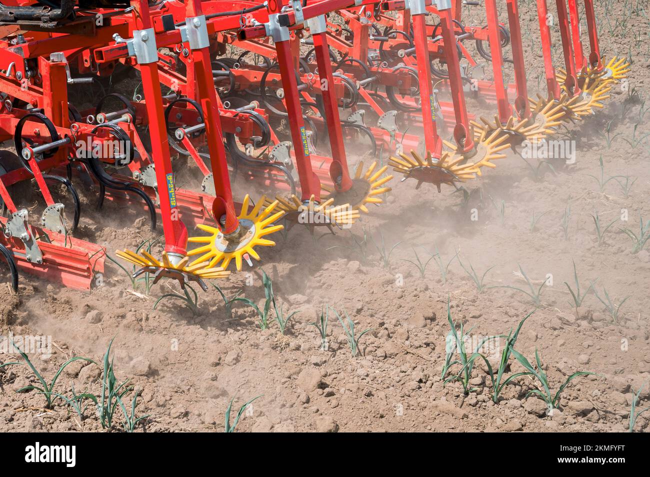 Hoeing weeds hi-res stock photography and images - Alamy