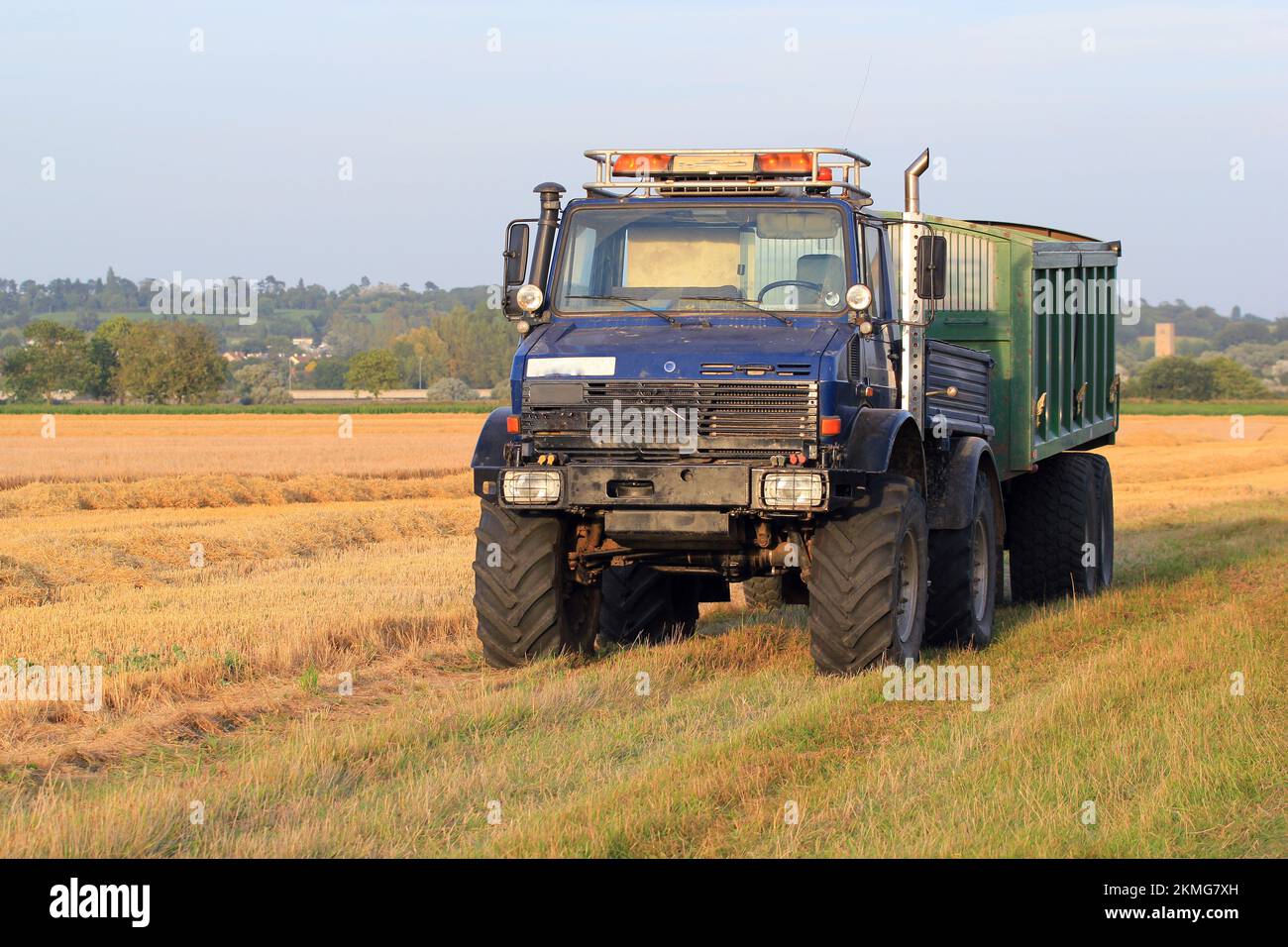 Truck and trailer in a field in harvest or fall waiting to transport ...