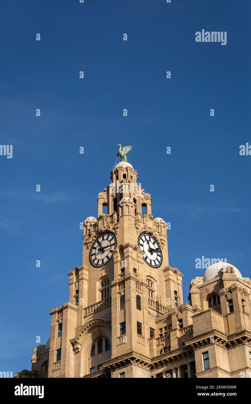 Liverpool, UK : The clock tower of the Royal Liver building on the city ...