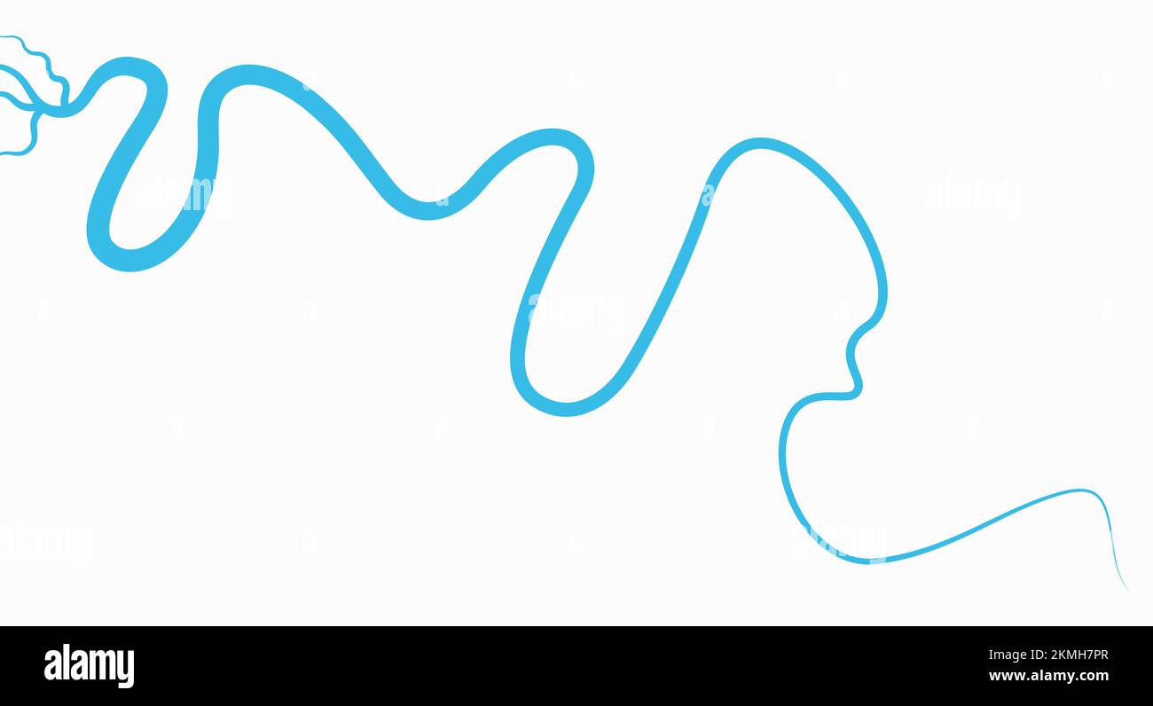 Bending wobbling river bed, meandrous river, stream or creek silhouette ...