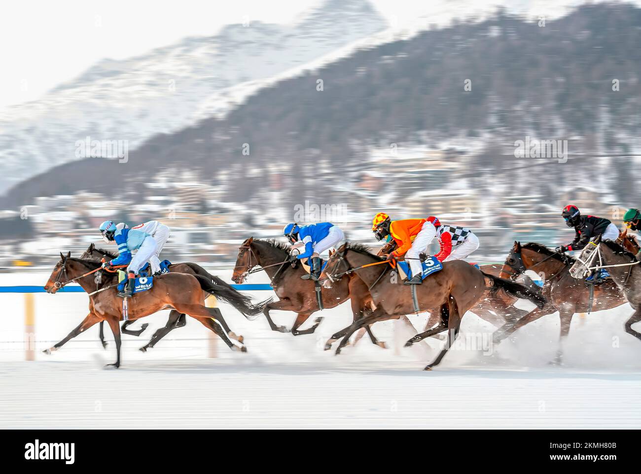 Horse race during White Turf in St.Moritz, Switzerland Stock Photo - Alamy