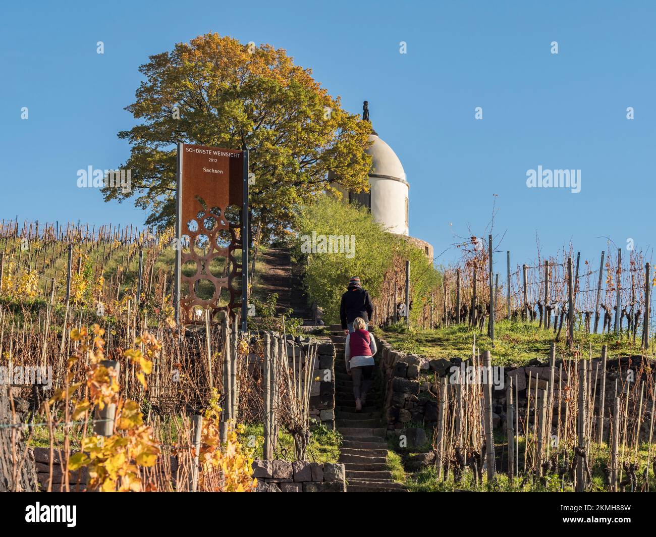 Path up to tower Jacobstein, vineyard at castle Wackerbarth, Radebeul ...