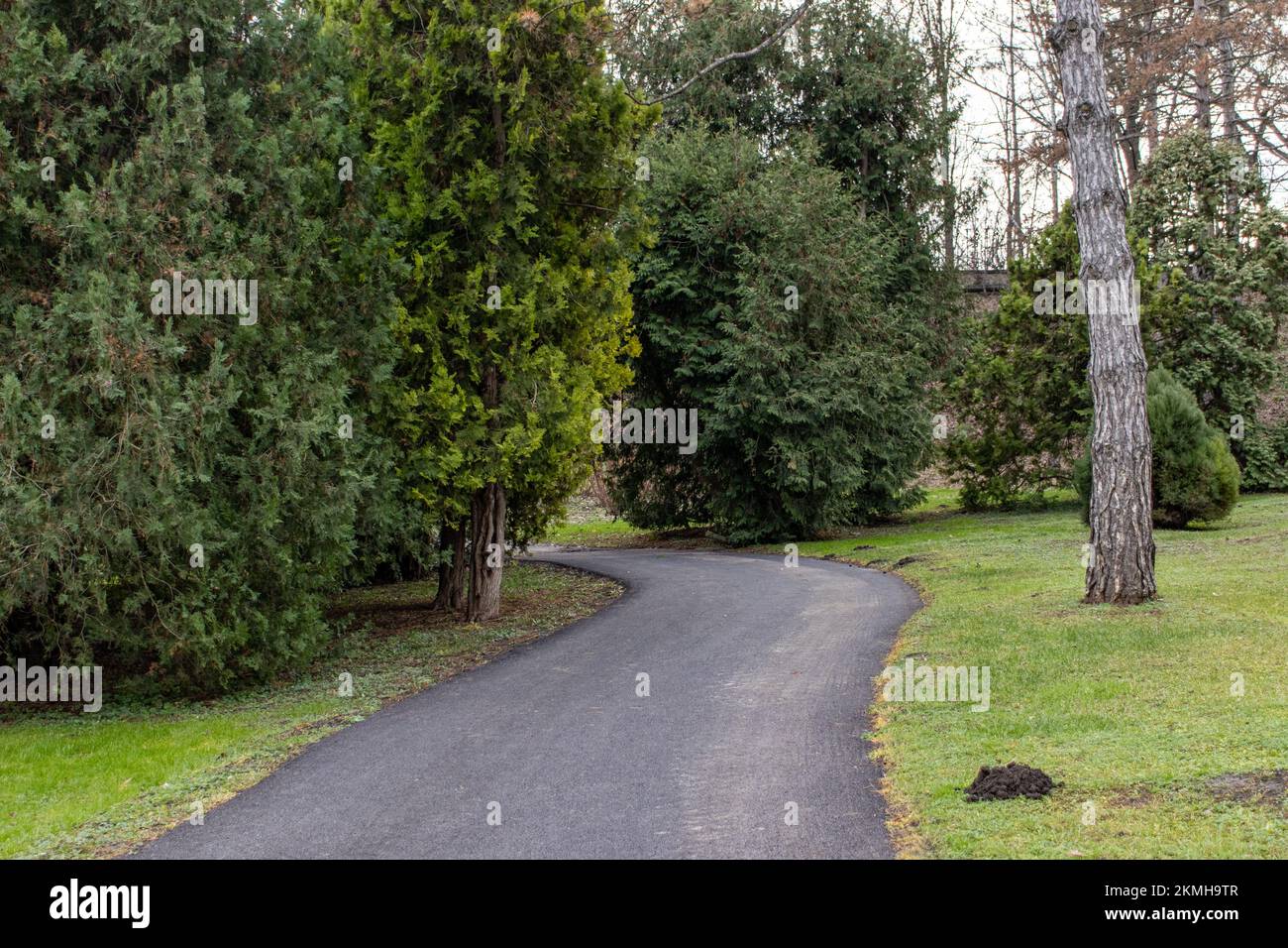 a walkway in the arboretum, flanked by trees, bushes and lawn Stock ...