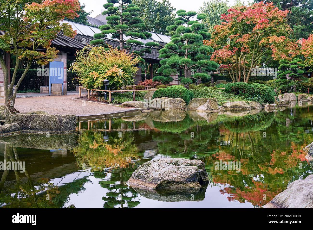 Garden path in japanese garden with japanese maples - autumn coming to Hamburg.Reflections in ...