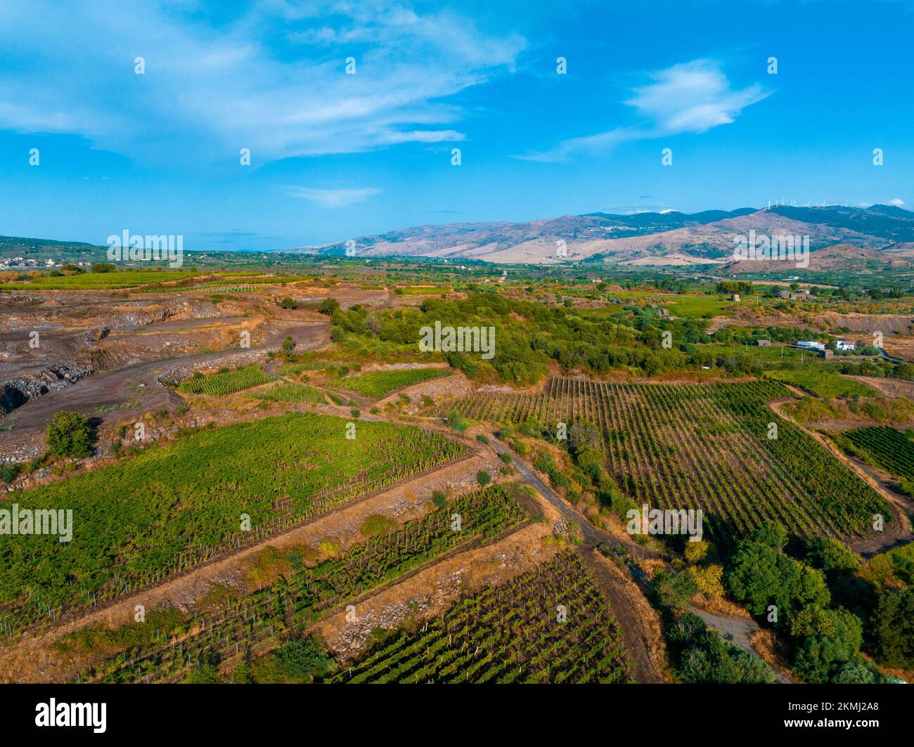 Sicilian vineyards with Etna volcano eruption at background in Sicily ...
