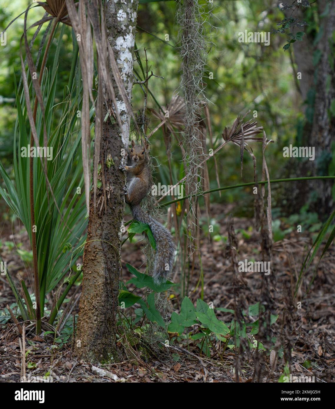 Shallow focus vertical shot hi-res stock photography and images - Alamy