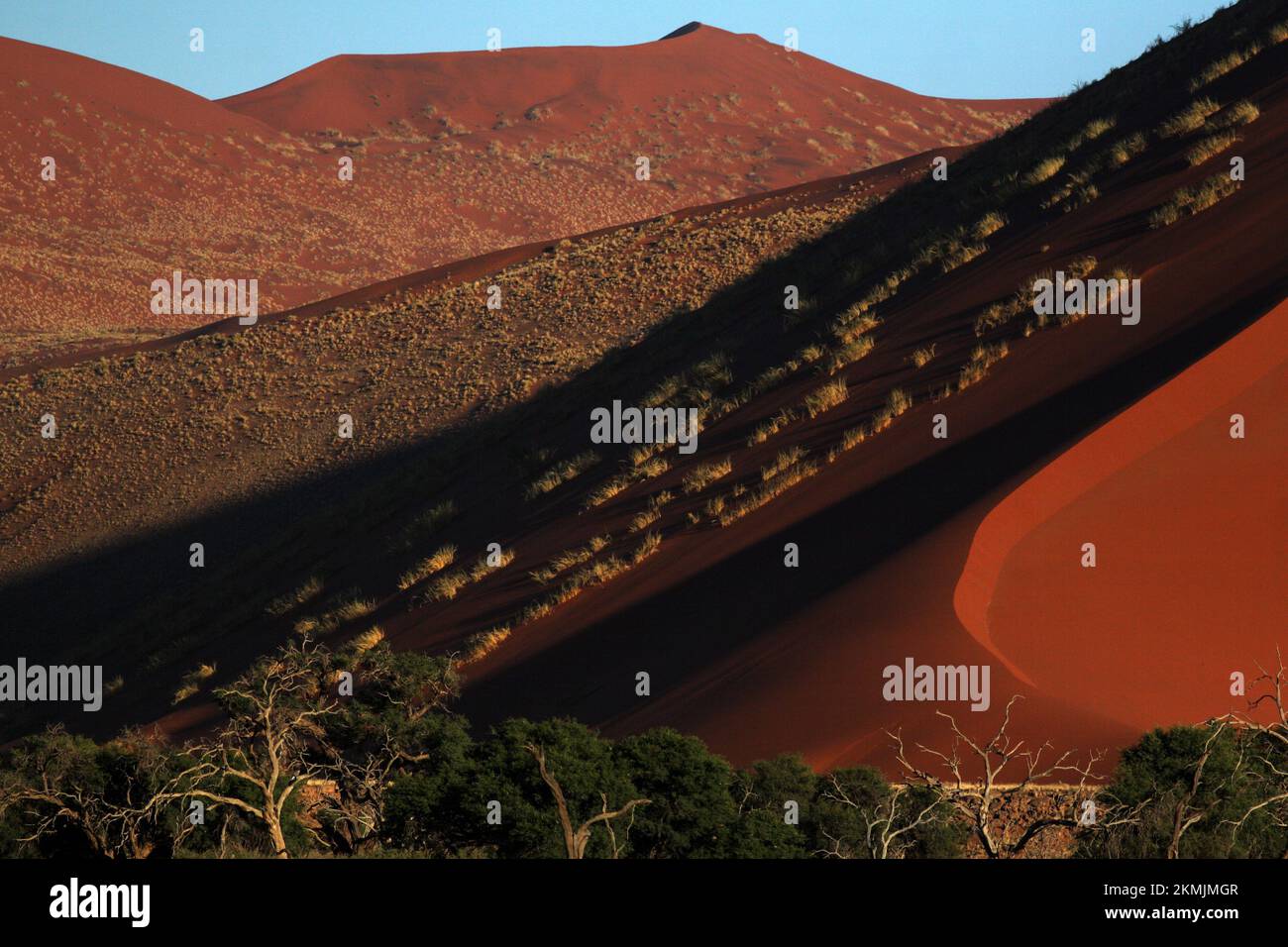 NAMIBIA. Namib-Naukluft National Park, Sossusvlei and its red dunes ...