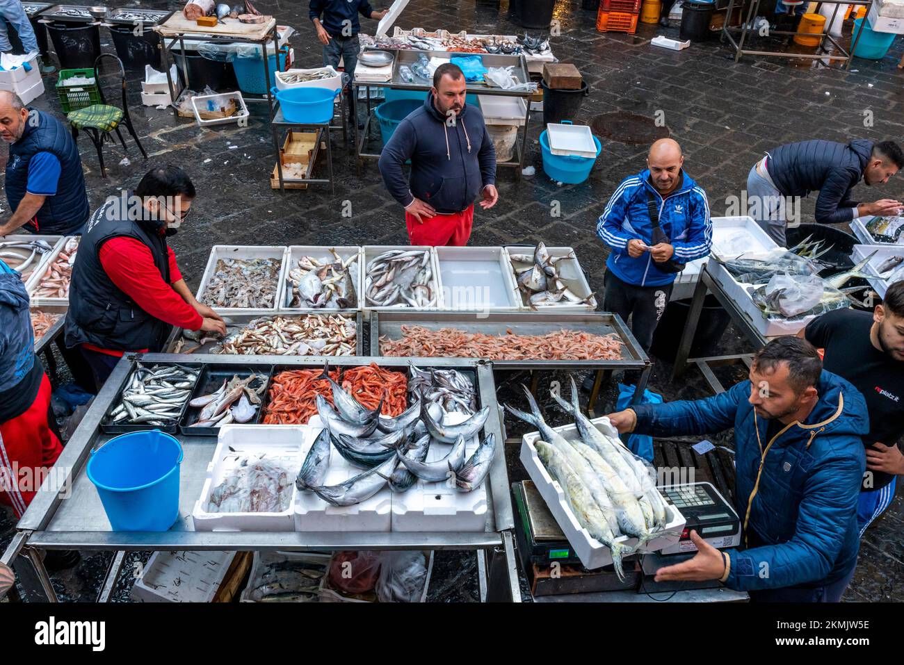 Fresh Fish/Seafood For Sale At The Daily Fish Market, Catania, Sicily ...