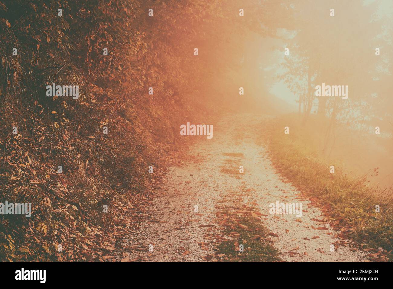 Beautiful autumn landscape Stock Photo - Alamy