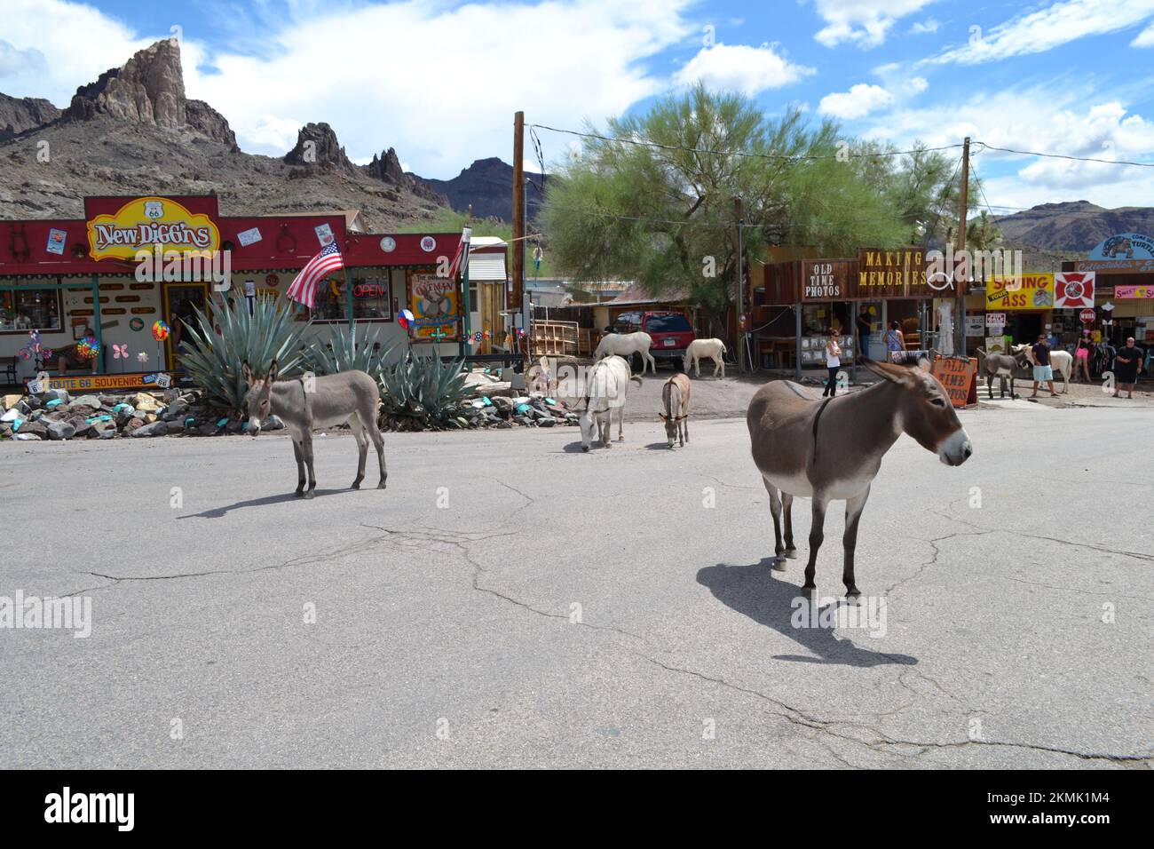 donkeys in the main street of Oatman. Arizona. USA Stock Photo - Alamy
