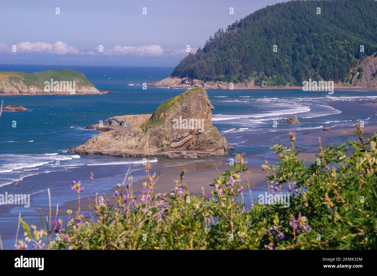 Bandon Beach in Southern Oregon Stock Photo - Alamy