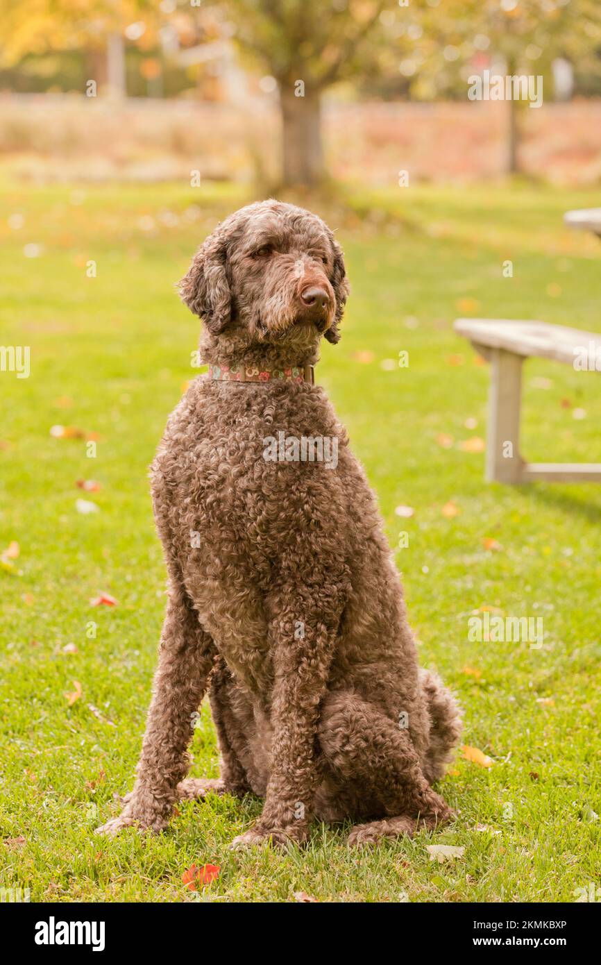 Outside tall hi-res stock photography and images - Alamy