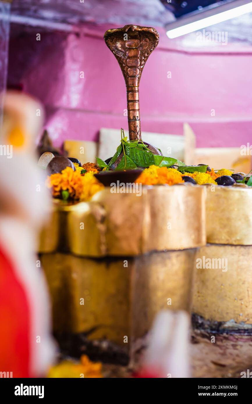 A vertical shot of flowers worshiping the Hindu Shiva god Stock Photo ...