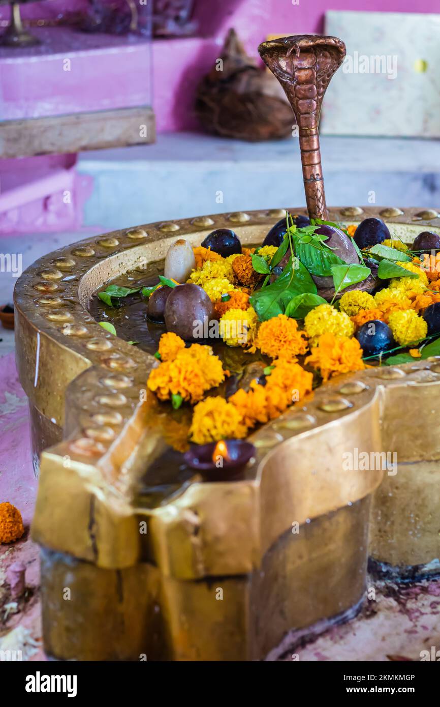 A vertical shot of flowers worshiping the Hindu Shiva god Stock Photo ...