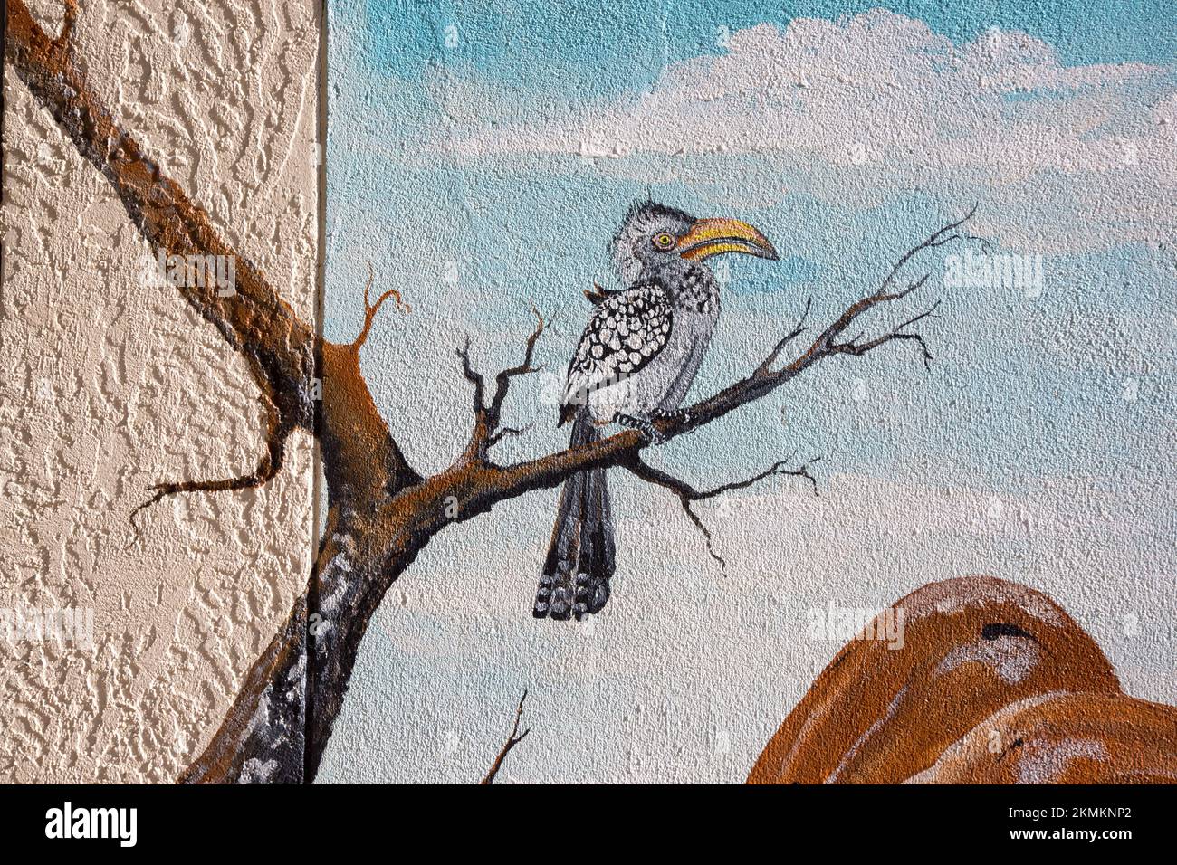 NAMIBIA. Animal painting, yellow-billed hornbill drawn on the walls of ...
