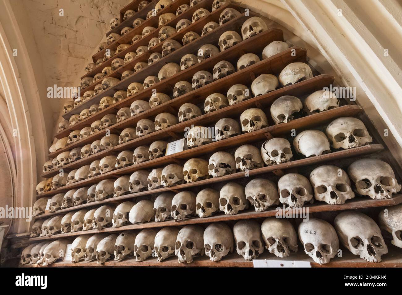 England, Kent, Hythe, St.Leonard's Church, Human Bones in The Crypt ...