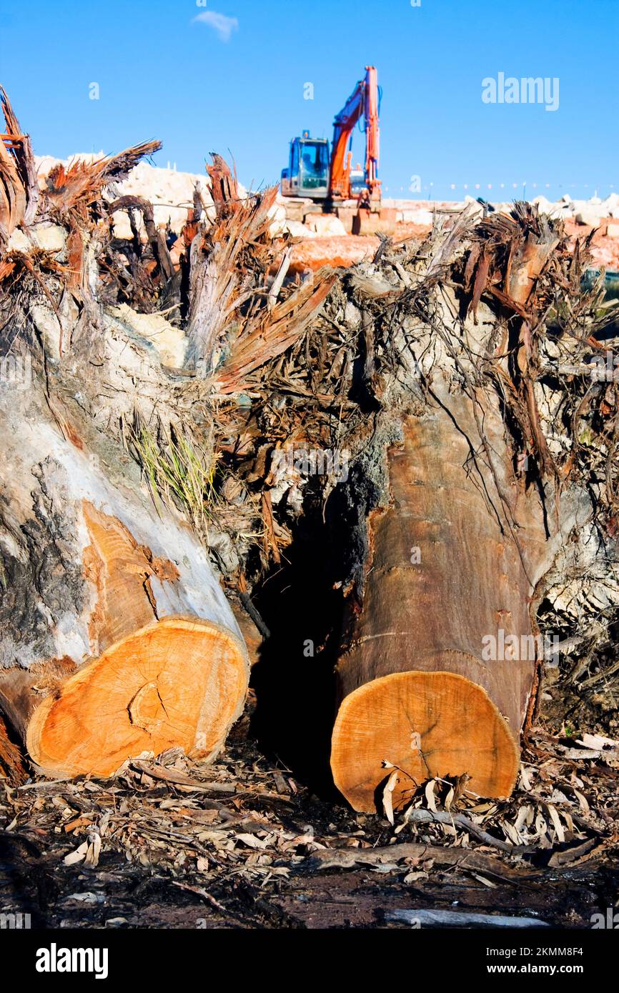 Development harming environment hi-res stock photography and images - Alamy