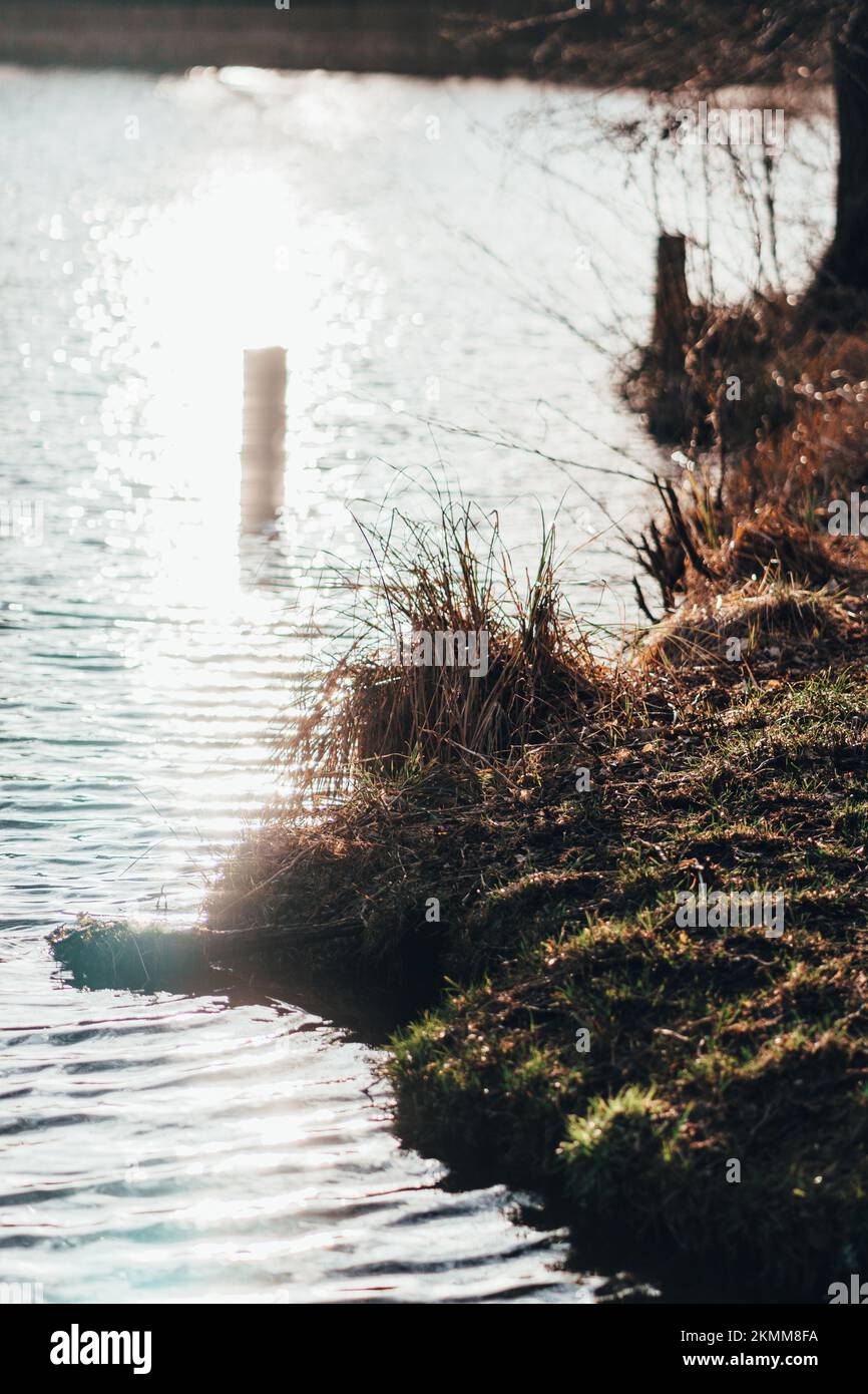 A beautiful vertical view of a river through branches during sunrise ...