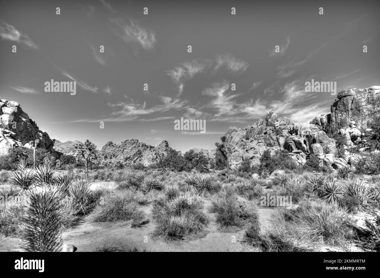 Landscape of Joshua Tree National Park with clear skies and rocky ...