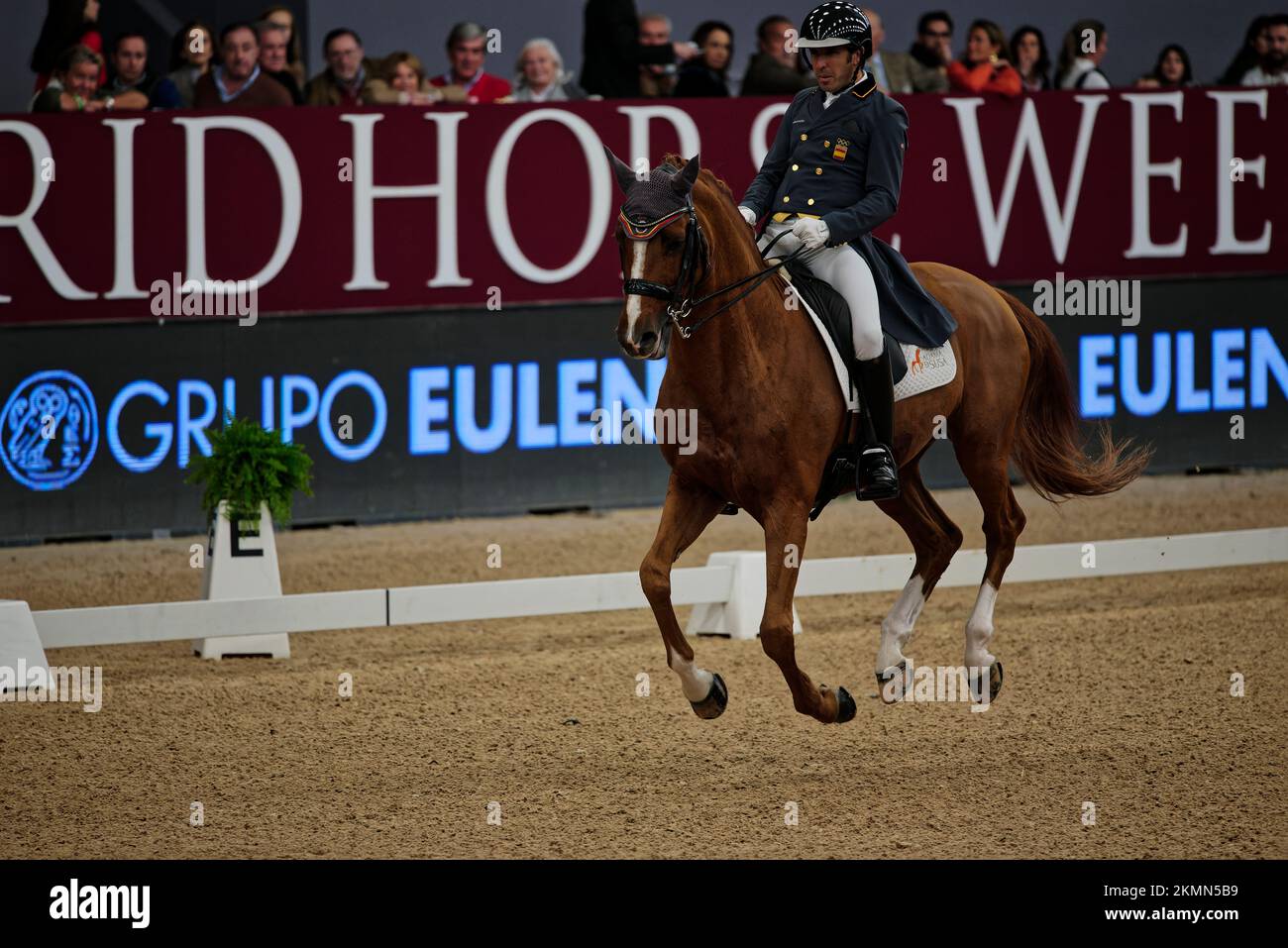 IFEMA, Madrid, Spain. 26th Nov, 2022. Madrid Horse Week 2022, FEI ...