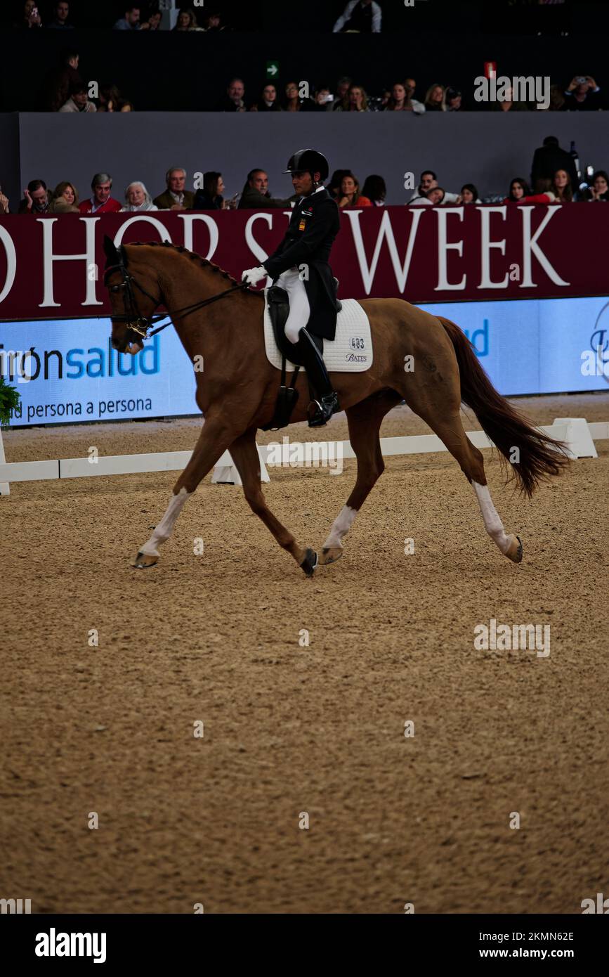 IFEMA, Madrid, Spain. 26th Nov, 2022. Madrid Horse Week 2022, FEI ...