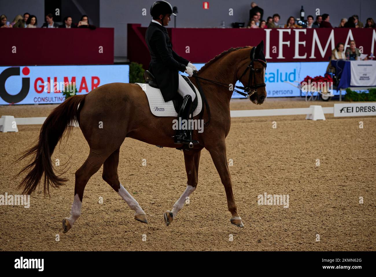 IFEMA, Madrid, Spain. 26th Nov, 2022. Madrid Horse Week 2022, FEI ...