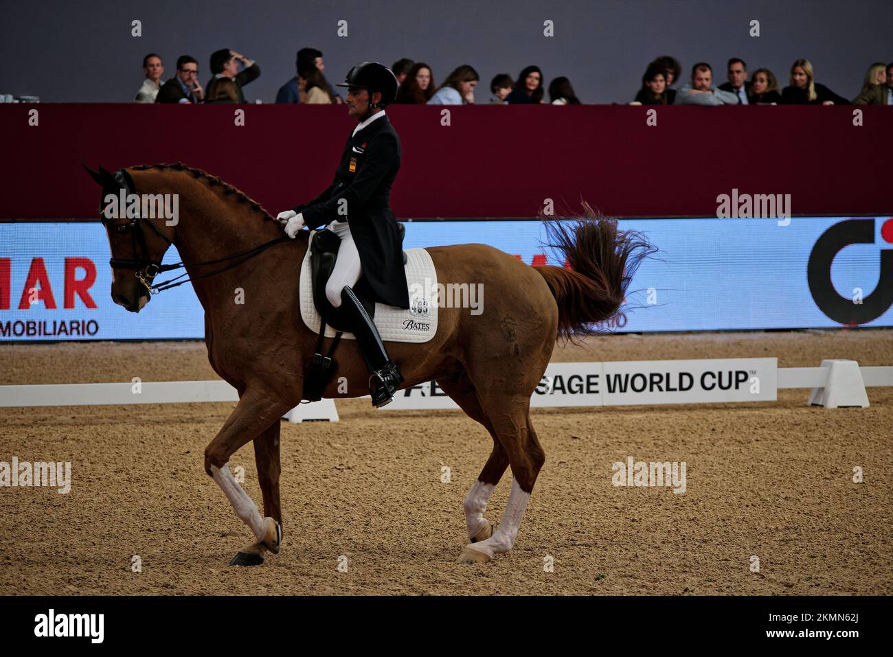 IFEMA, Madrid, Spain. 26th Nov, 2022. Madrid Horse Week 2022, FEI ...