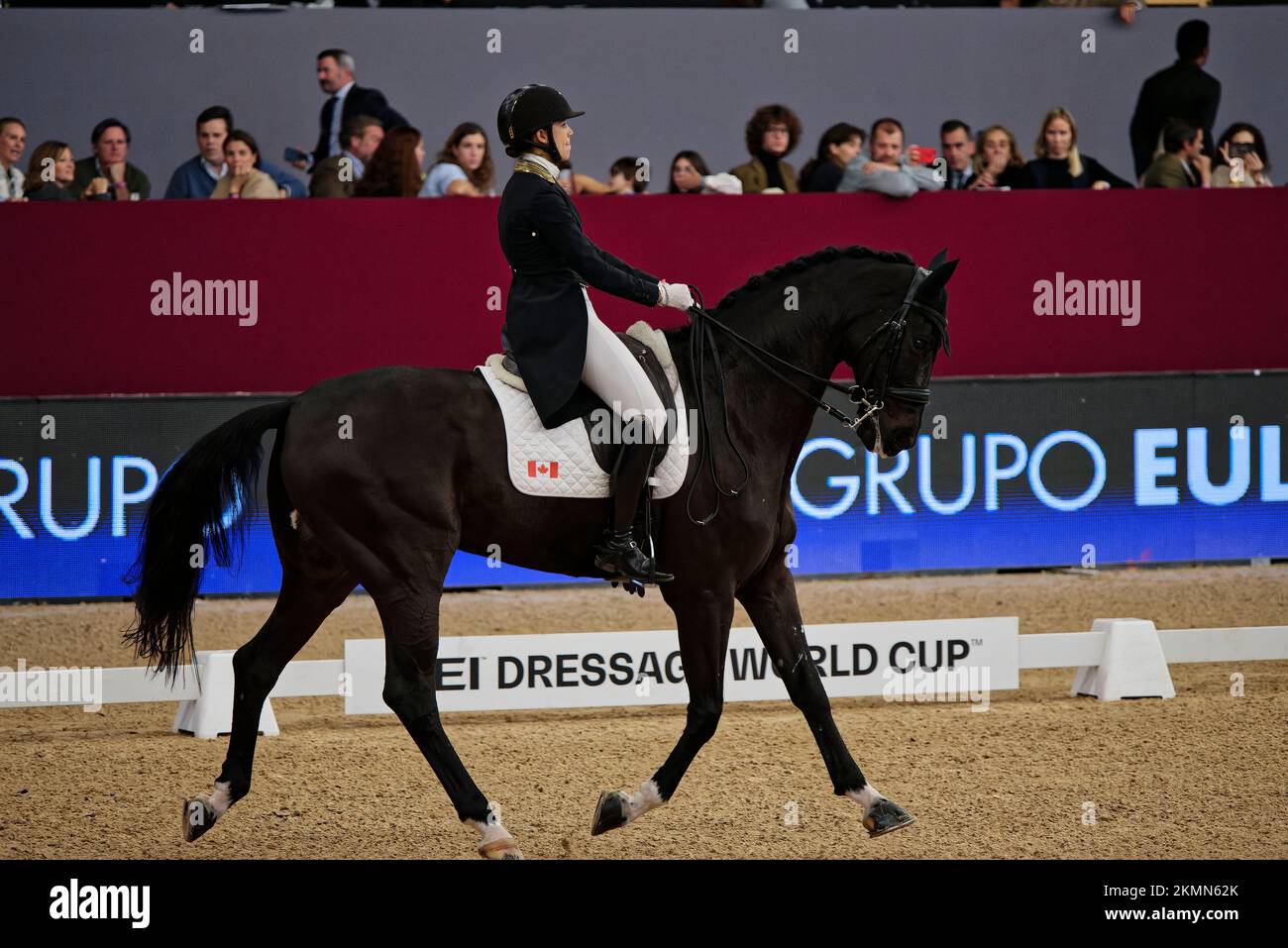 IFEMA, Madrid, Spain. 26th Nov, 2022. Madrid Horse Week 2022, FEI ...