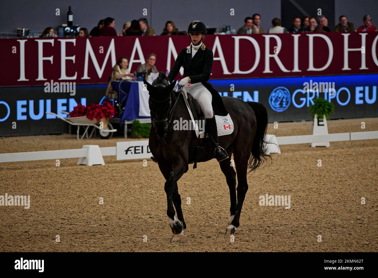 IFEMA, Madrid, Spain. 26th Nov, 2022. Madrid Horse Week 2022, FEI ...