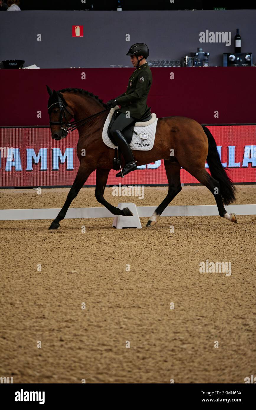 IFEMA, Madrid, Spain. 26th Nov, 2022. Madrid Horse Week 2022, FEI ...