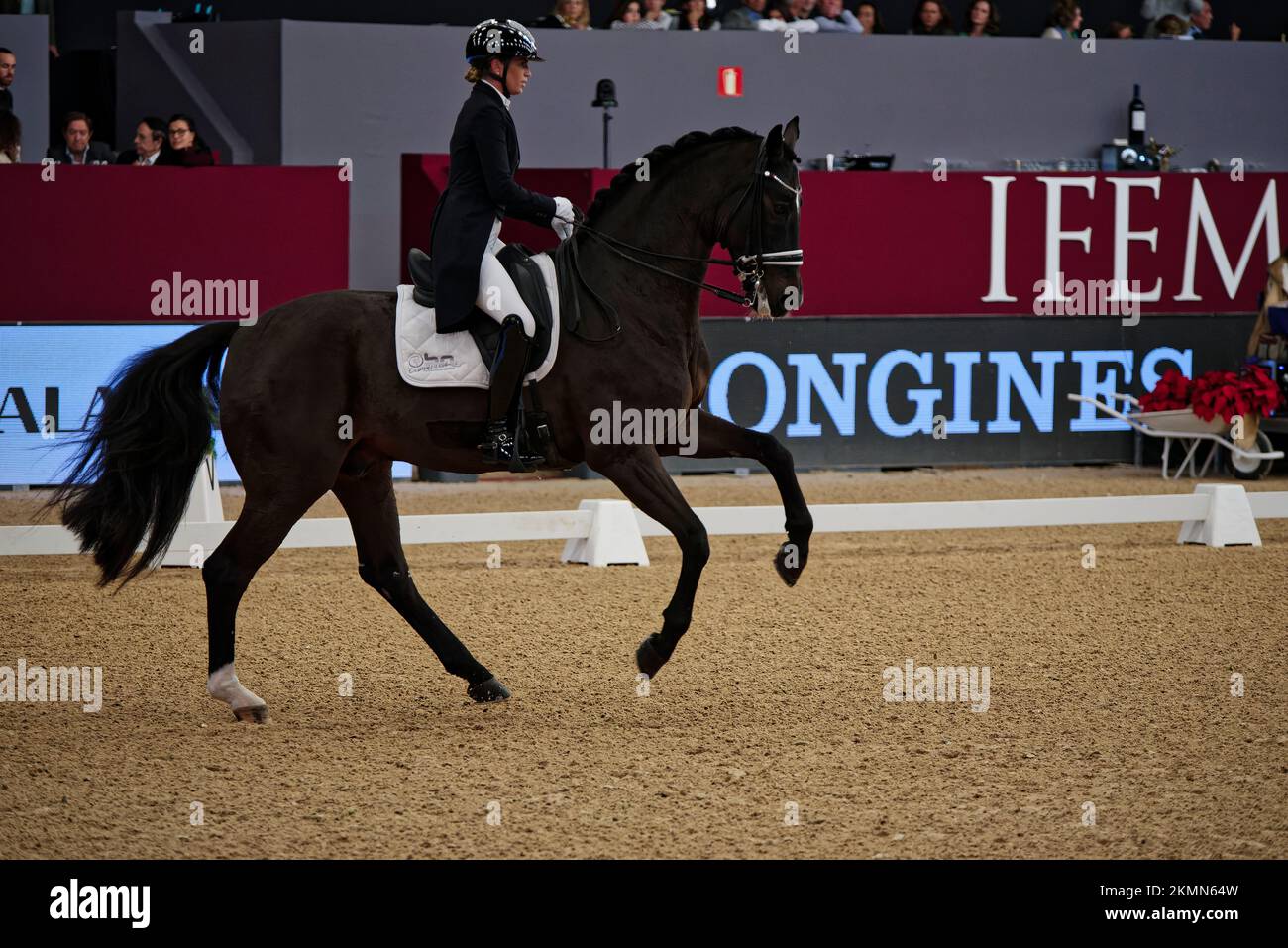 IFEMA, Madrid, Spain. 26th Nov, 2022. Madrid Horse Week 2022, FEI ...