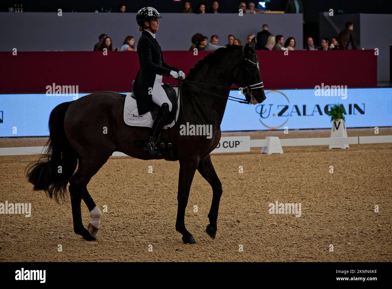 IFEMA, Madrid, Spain. 26th Nov, 2022. Madrid Horse Week 2022, FEI ...