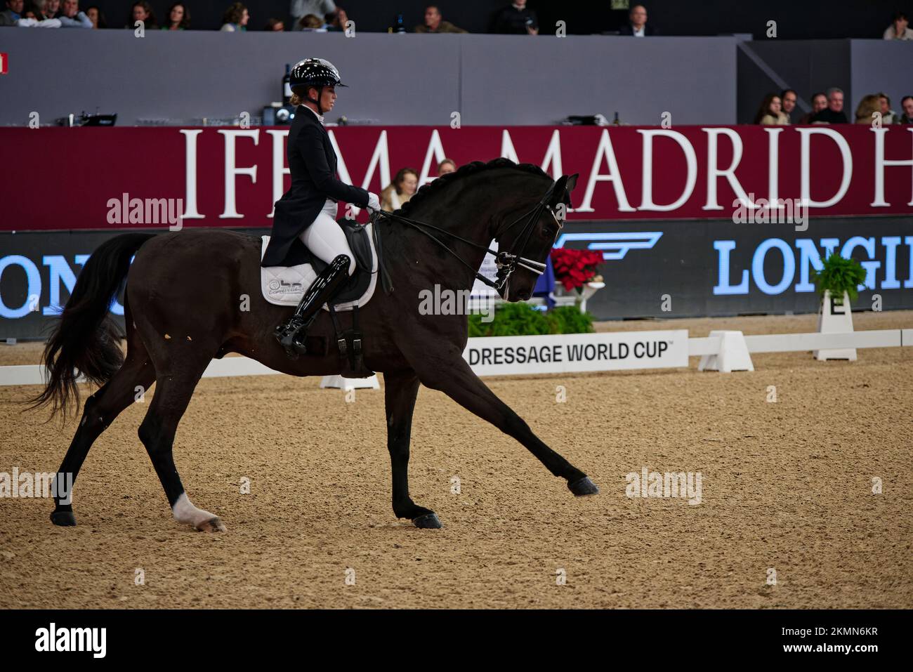 IFEMA, Madrid, Spain. 26th Nov, 2022. Madrid Horse Week 2022, FEI ...