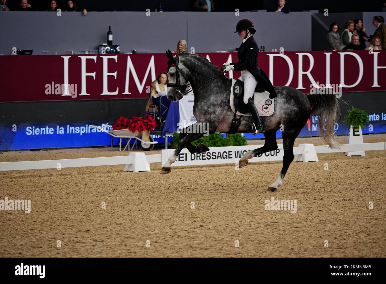 IFEMA, Madrid, Spain. 26th Nov, 2022. Madrid Horse Week 2022, FEI ...