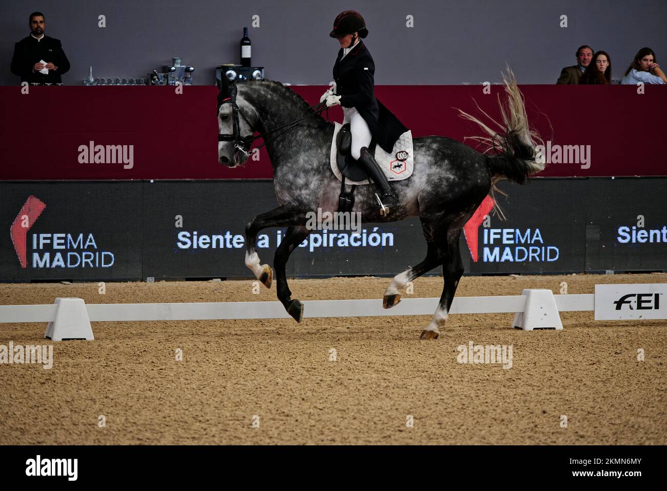 IFEMA, Madrid, Spain. 26th Nov, 2022. Madrid Horse Week 2022, FEI ...
