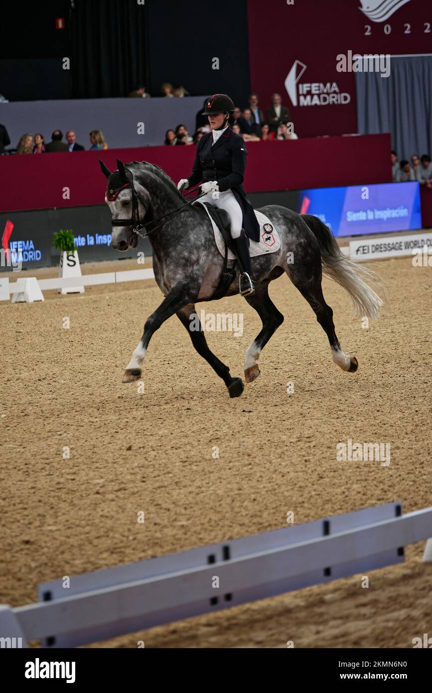 IFEMA, Madrid, Spain. 26th Nov, 2022. Madrid Horse Week 2022, FEI ...