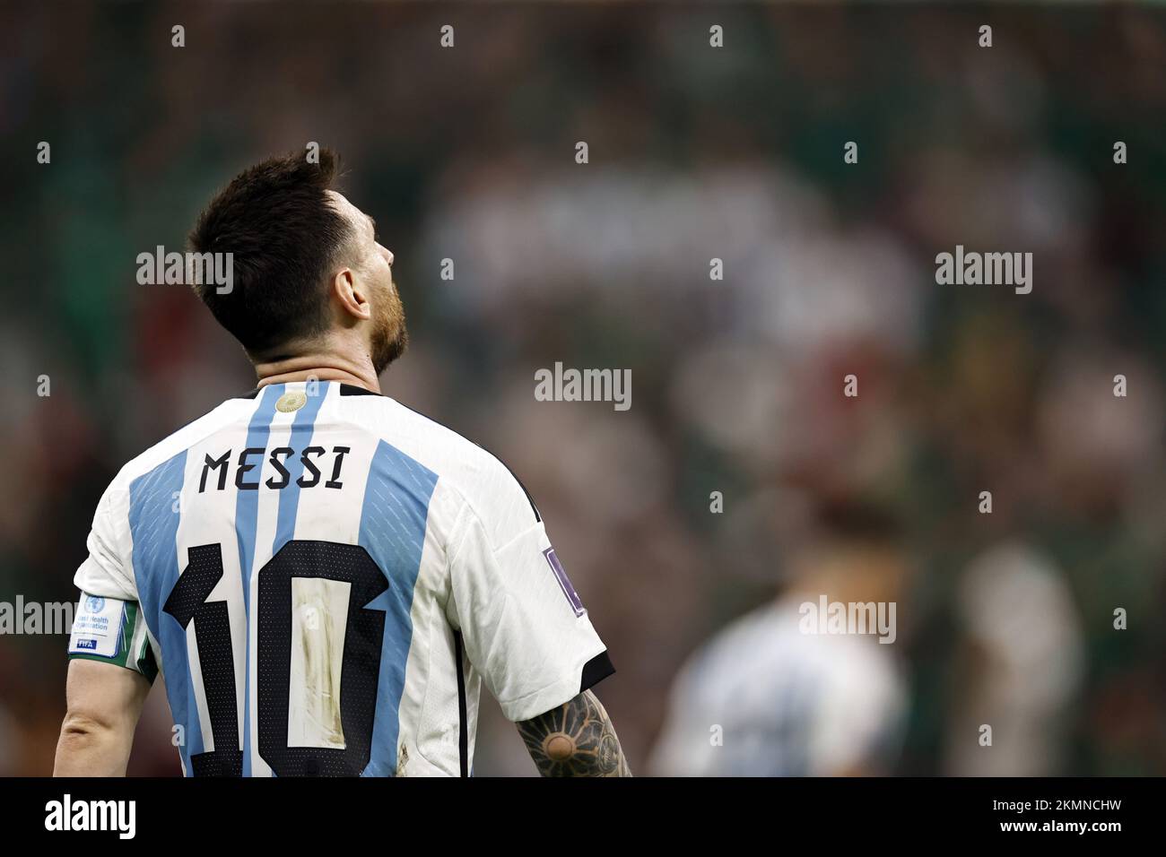 Fifa 2022 Lionel Messi Back