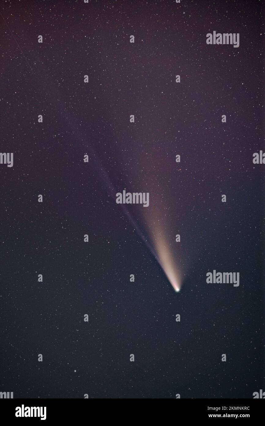 Spectacular view of the comet Neowise on a dark purple night sky Stock ...