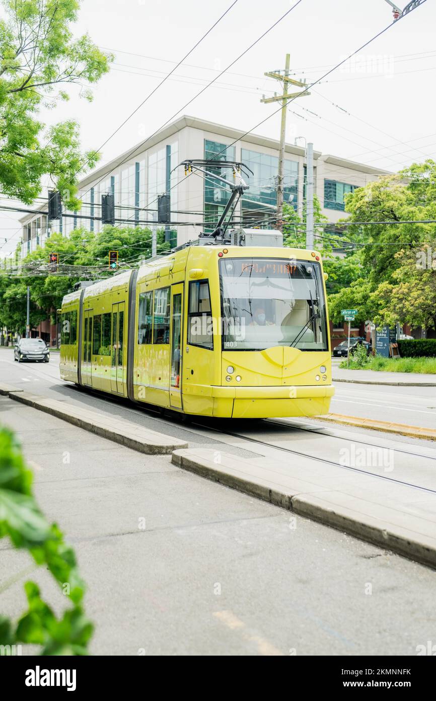 Tram passing through trees hi-res stock photography and images - Alamy