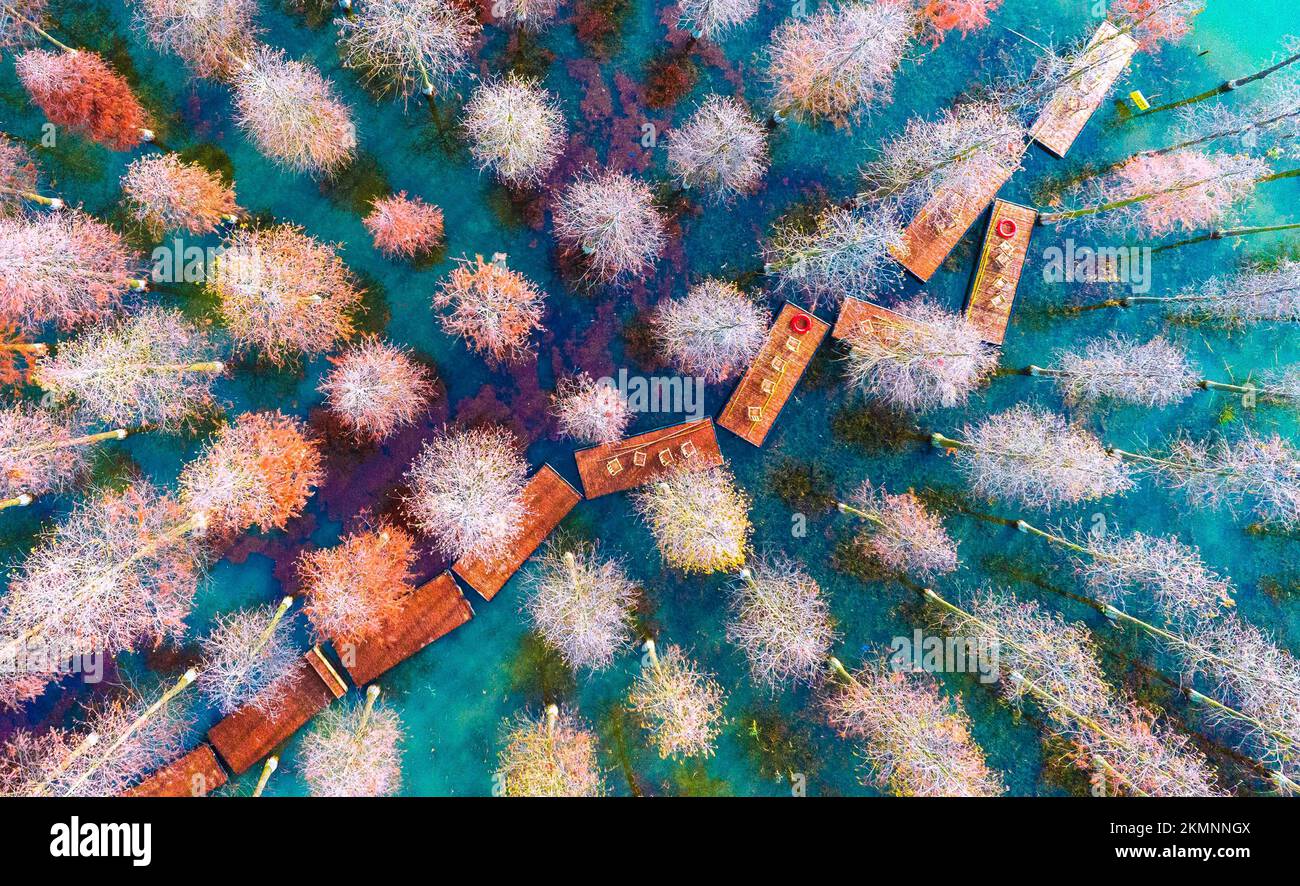 SUQIAN, CHINA - NOVEMBE 25, 2022 - Aerial photo shows the colorful ...