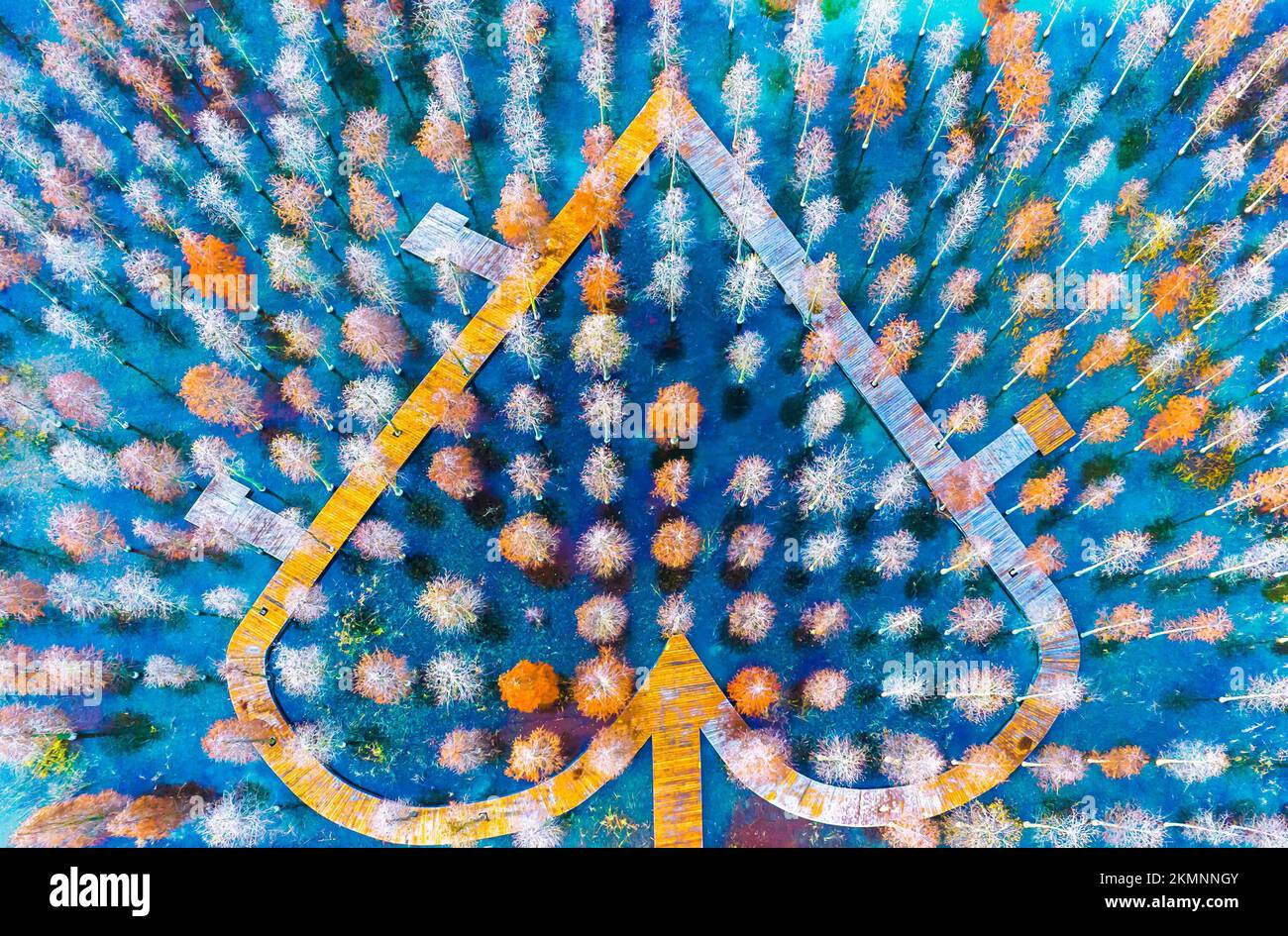 SUQIAN, CHINA - NOVEMBE 25, 2022 - Aerial photo shows the colorful ...