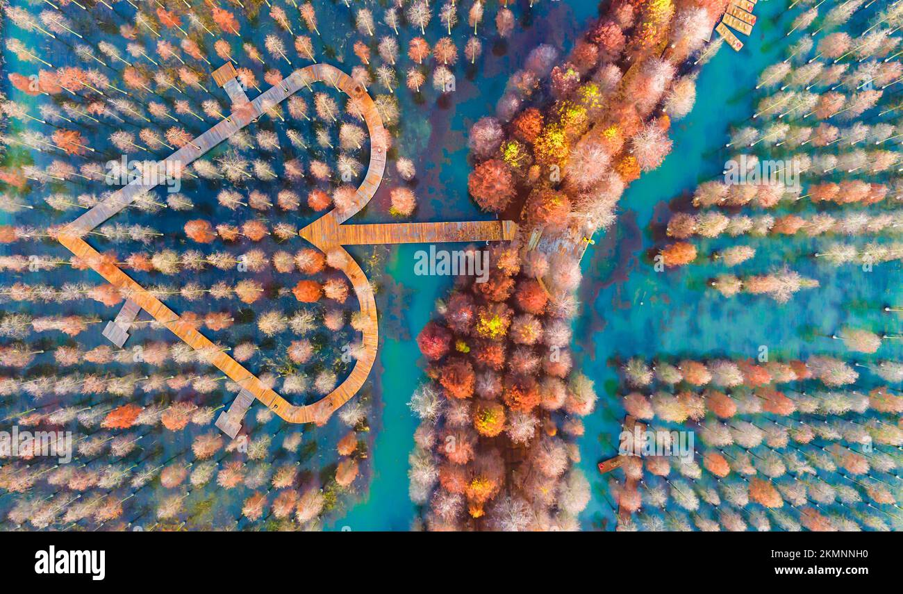 SUQIAN, CHINA - NOVEMBE 25, 2022 - Aerial photo shows the colorful ...