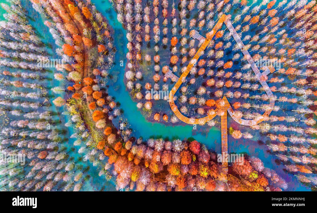SUQIAN, CHINA - NOVEMBE 25, 2022 - Aerial photo shows the colorful ...
