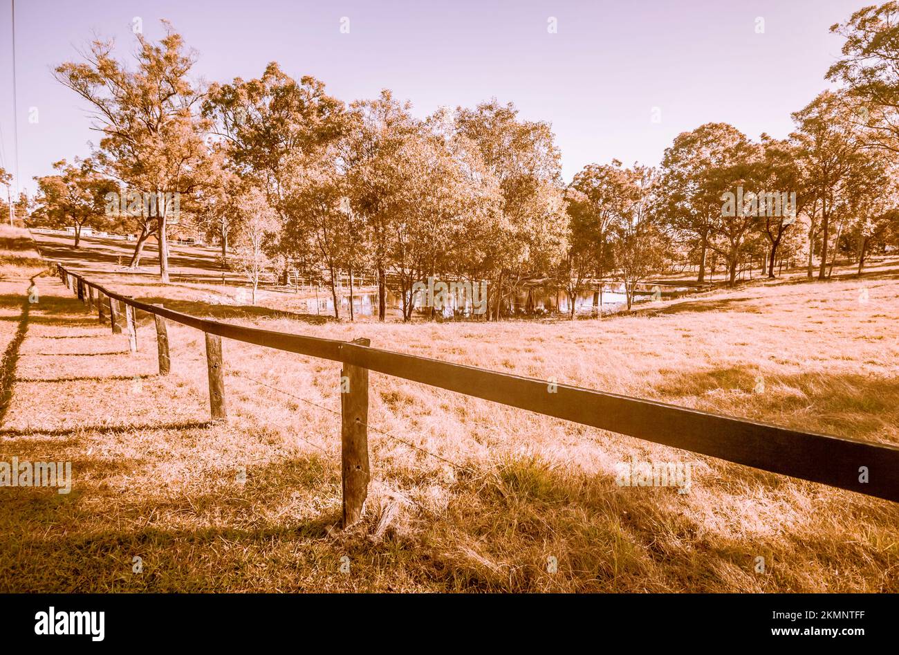 Rural landscape on a farming fence with scenic pond and trees ...