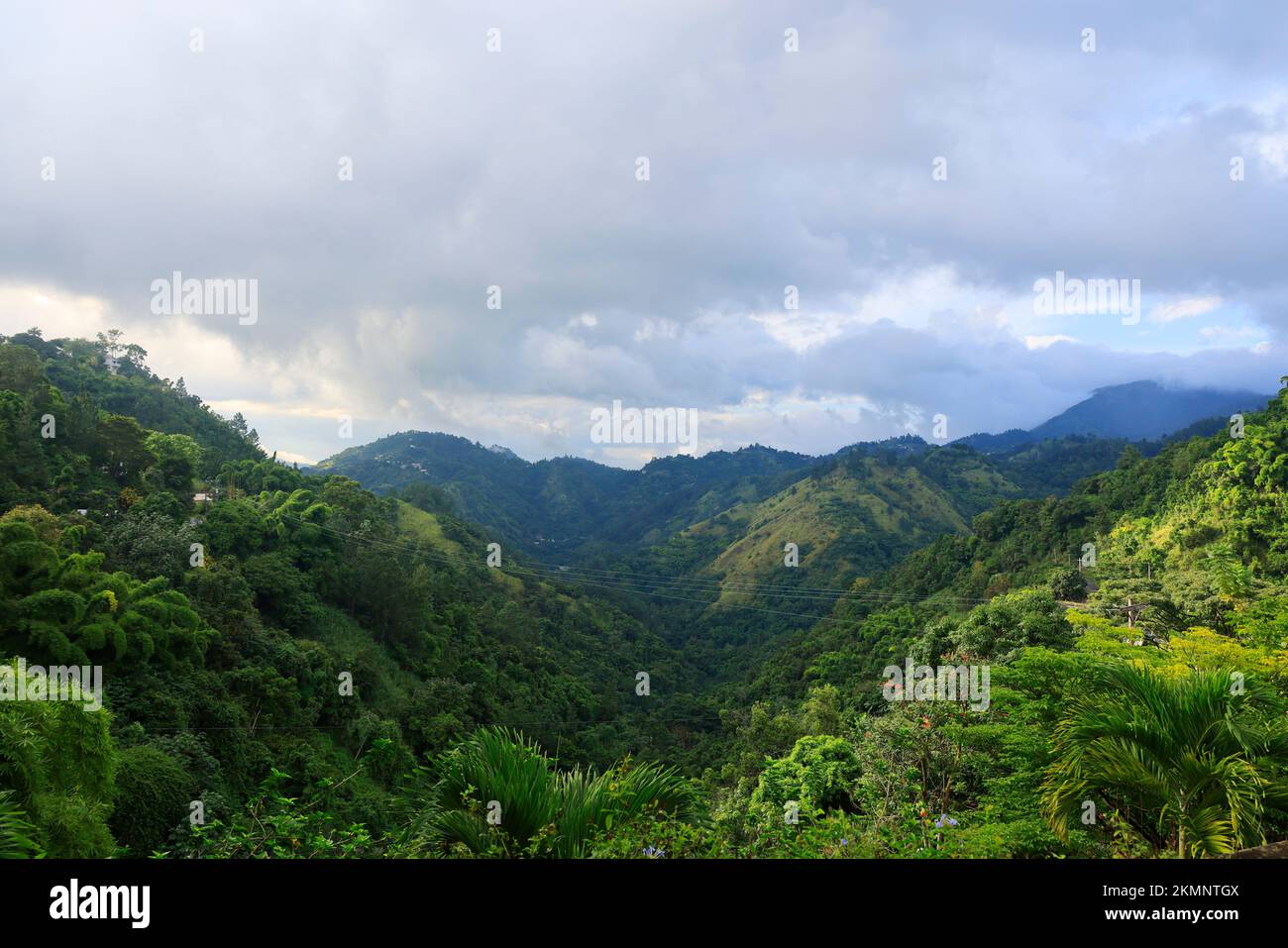 The Blue Mountains in Jamaica, Caribbean, Middle America Stock Photo ...