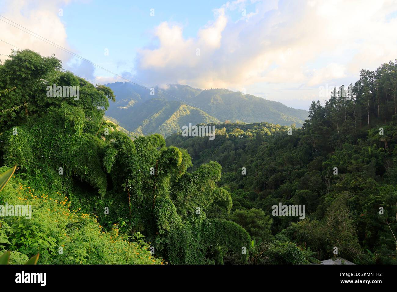 The Blue Mountains in Jamaica, Caribbean, Middle America Stock Photo ...