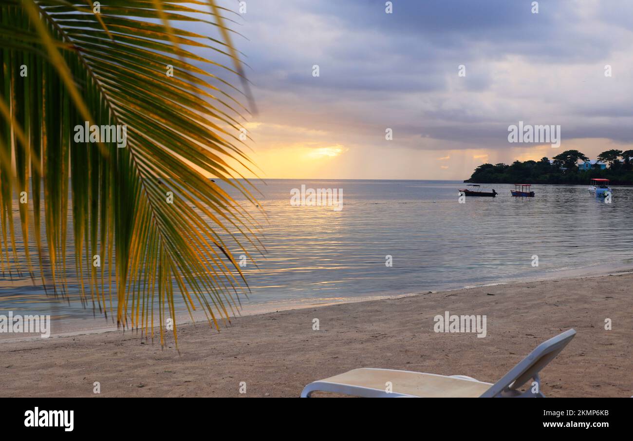 Sunset at the Beach with Palm Trees in Negril, Jamaica, Caribbean ...